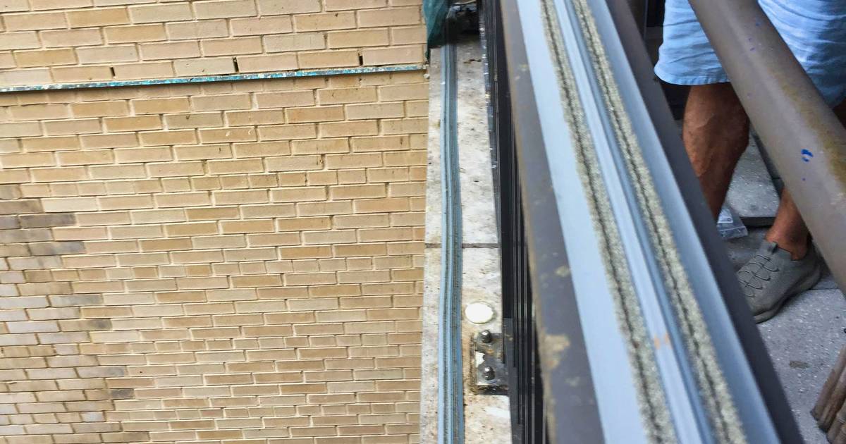 Bird Electric Shock In NYC | Queens | Standard Pest Management