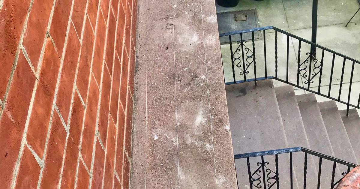 Bird Wire Installations In NYC | Queens | Standard Pest Management