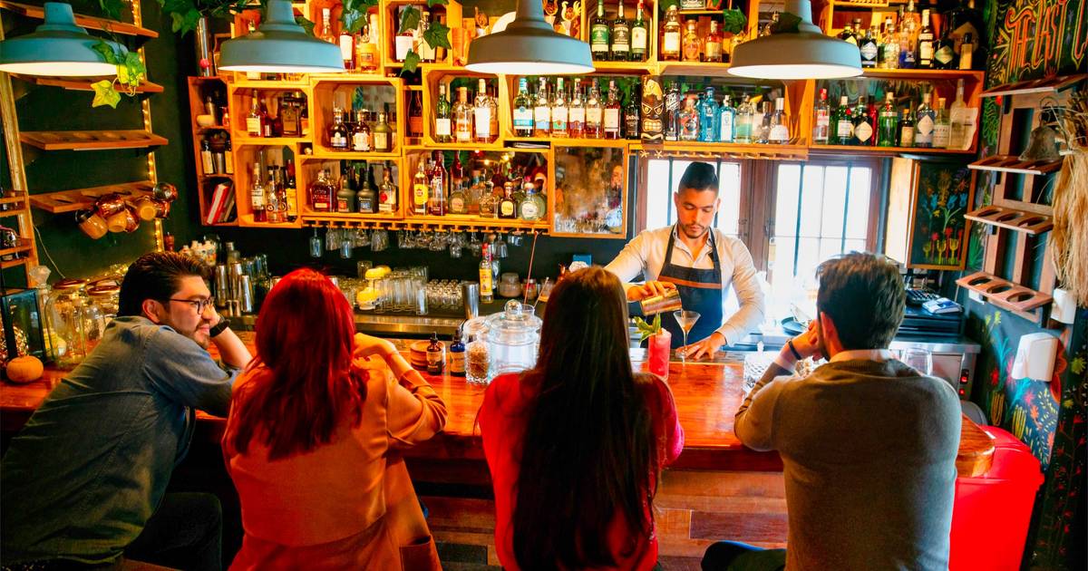 Restaurant-Bar Pest Control NYC | Queens |Standard Pest Management