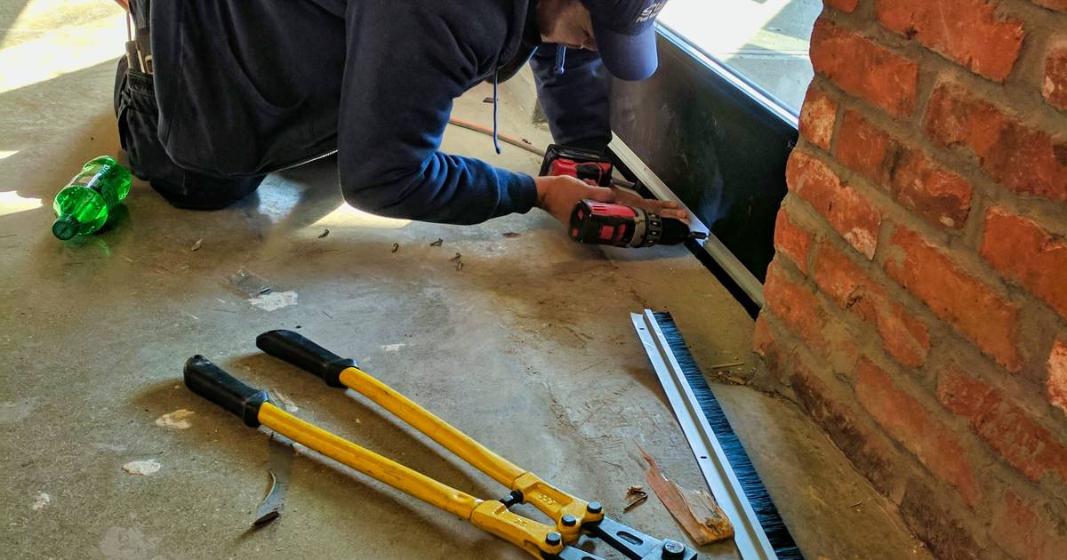 Rodent Control NYC or Nj | Standard Pest Management