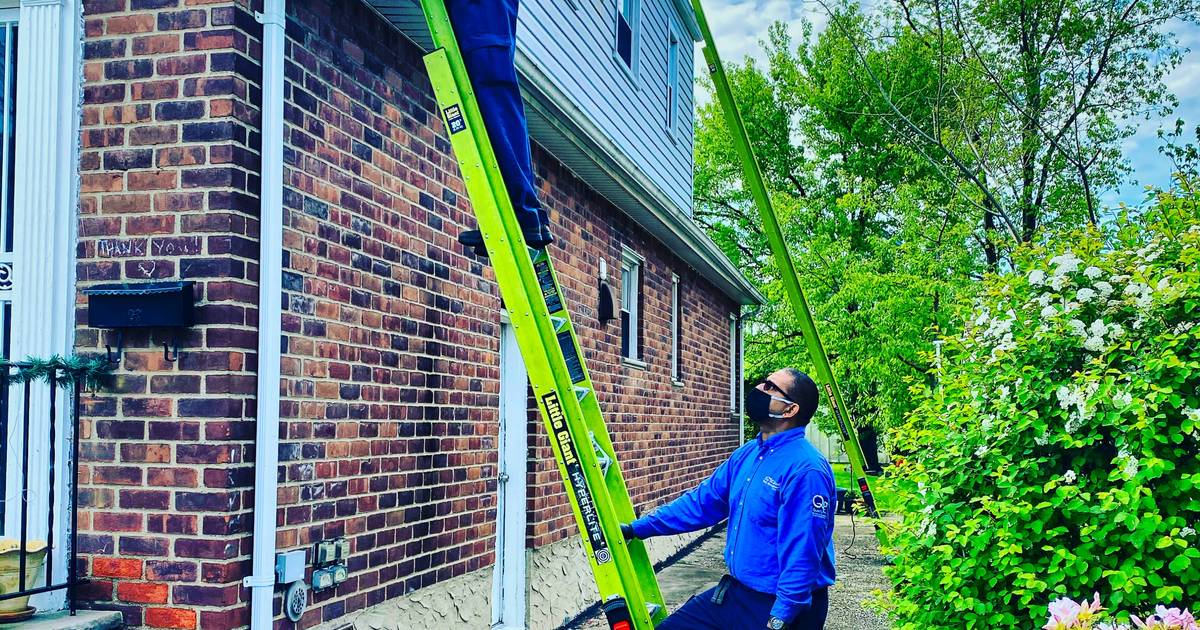 Wildlife & Animal Proofing or Exclusion Services - Standard Pest ...