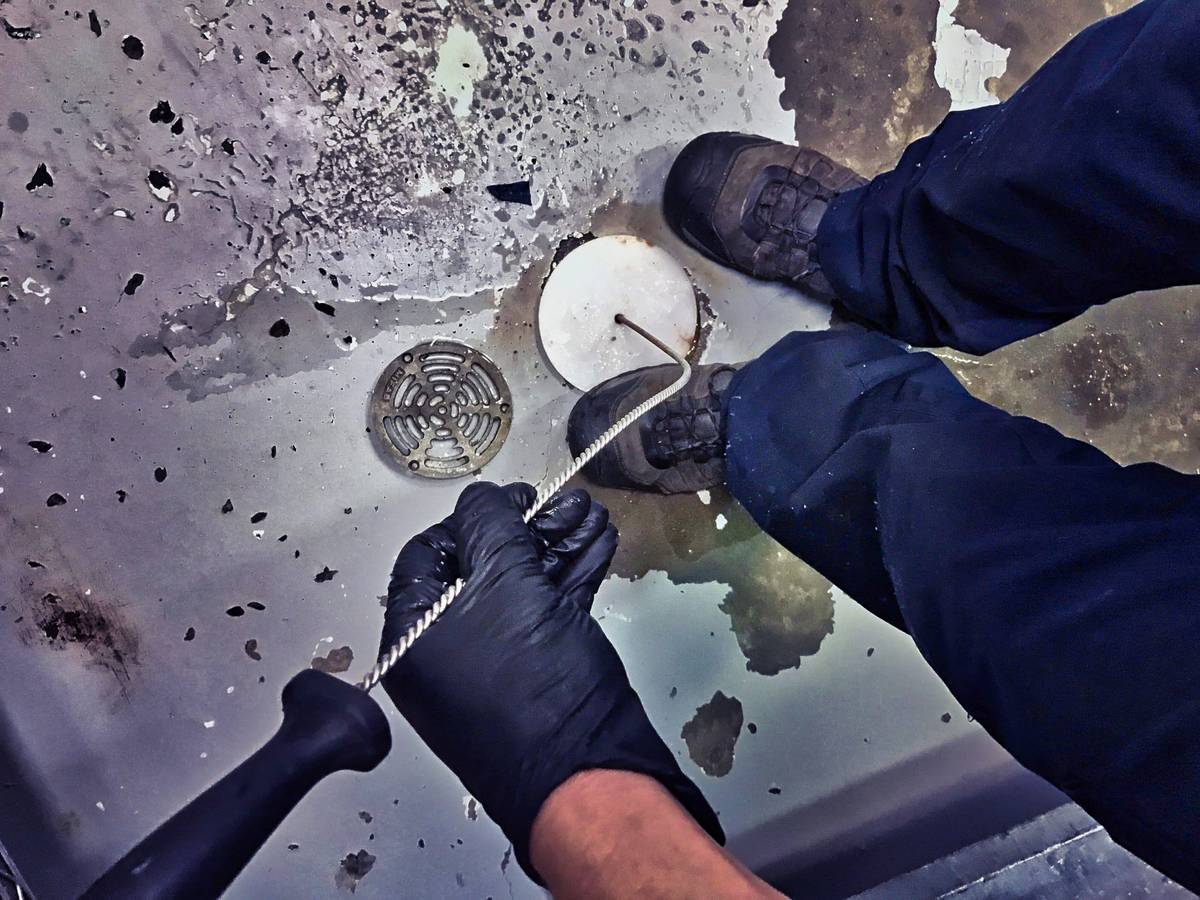 Fly Drain Cleaning NYC | Standard Pest Management