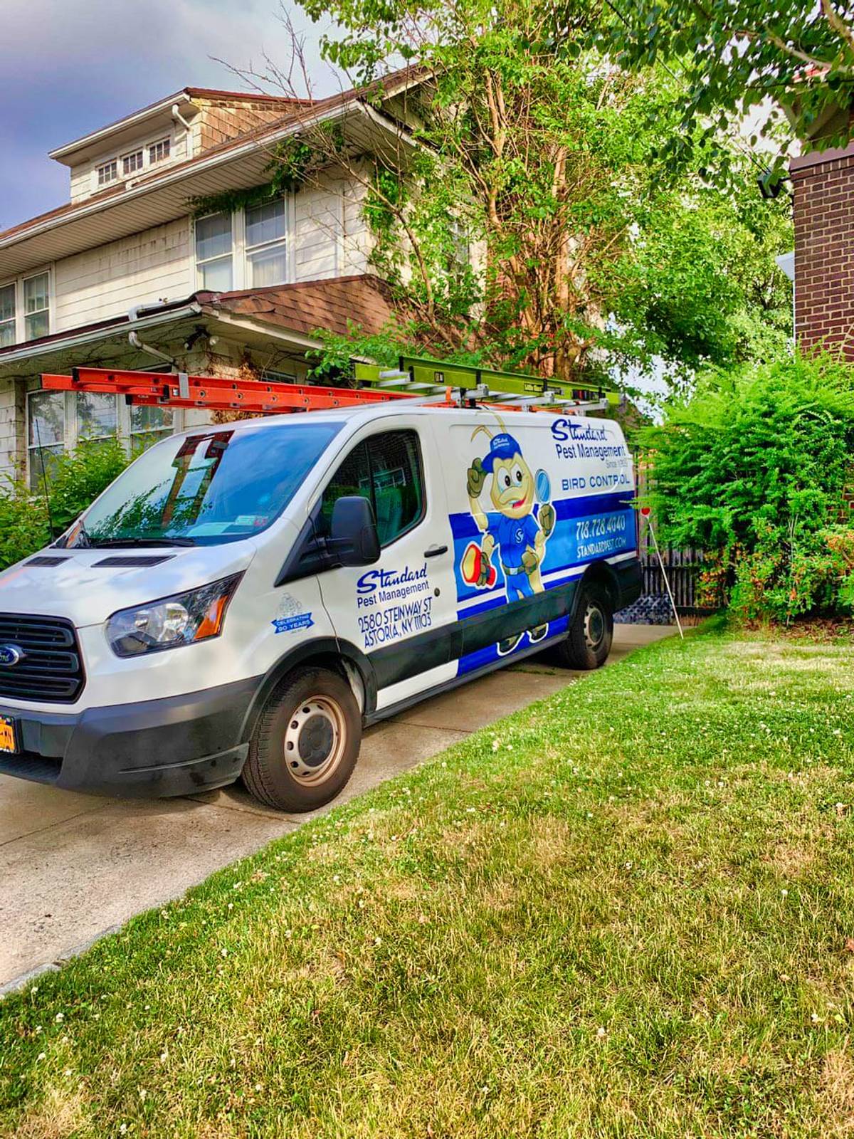 How to Have a Pest Free BBQ This Summer | Our Pest Control Blog ...